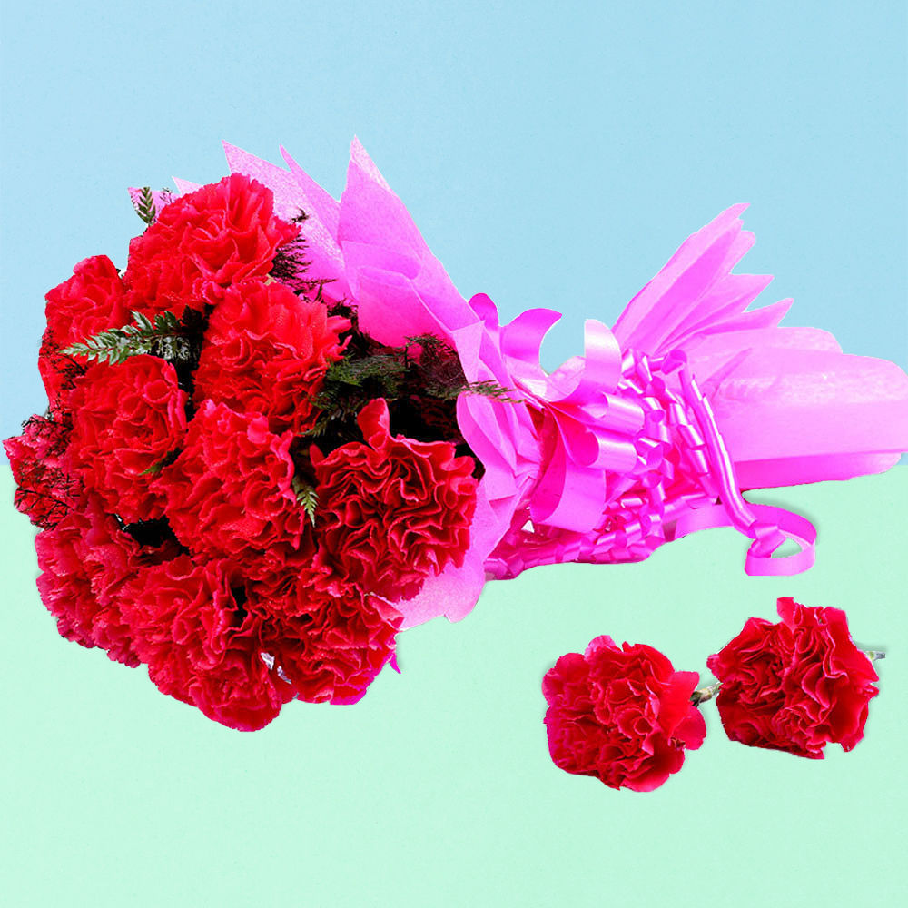 Pink Carnations In Pink Packing | Winni