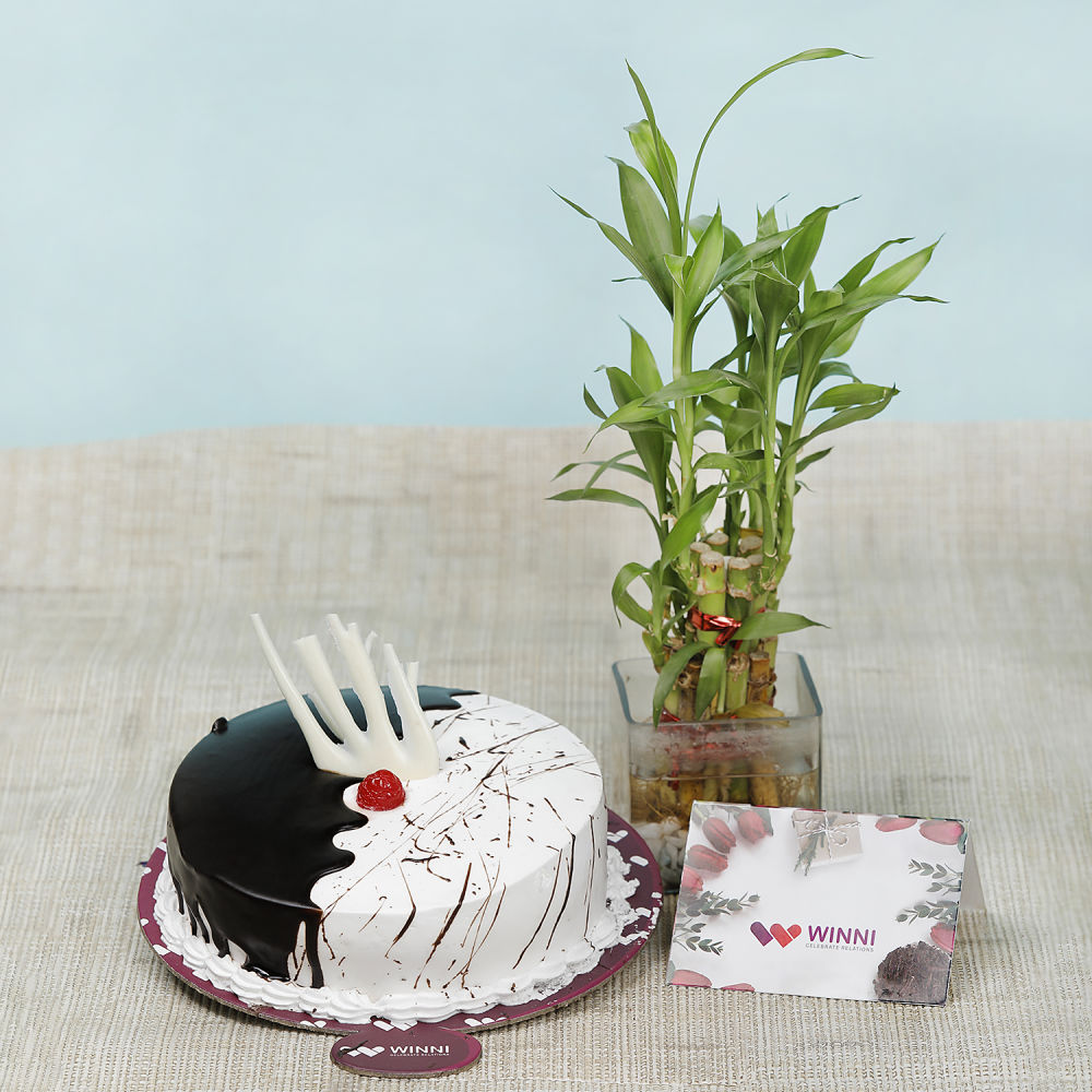 Choco Vanilla Fusion Cake With Bamboo | Winni
