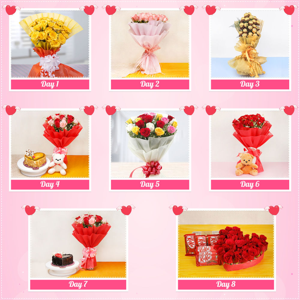 Favorite Favour | Winni