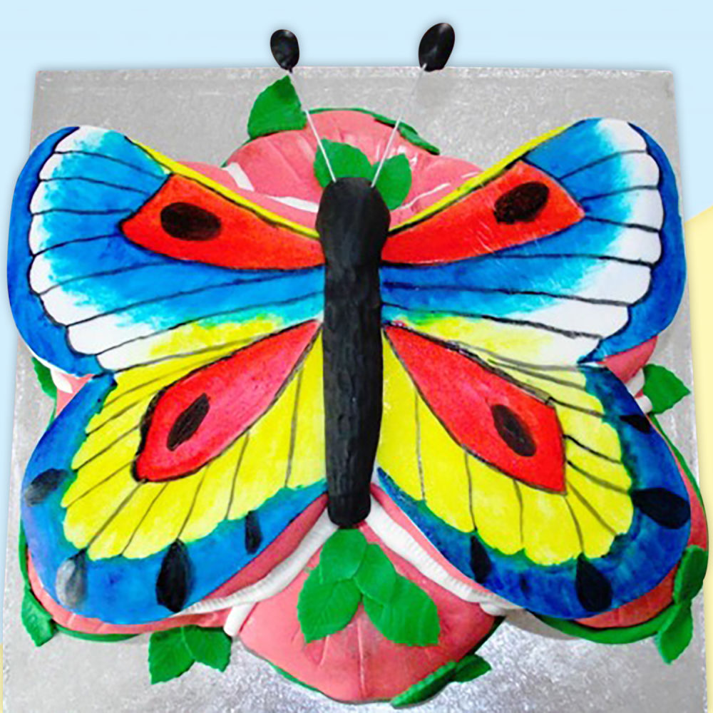 Winsome Butterfly Shaped Cake | Winni