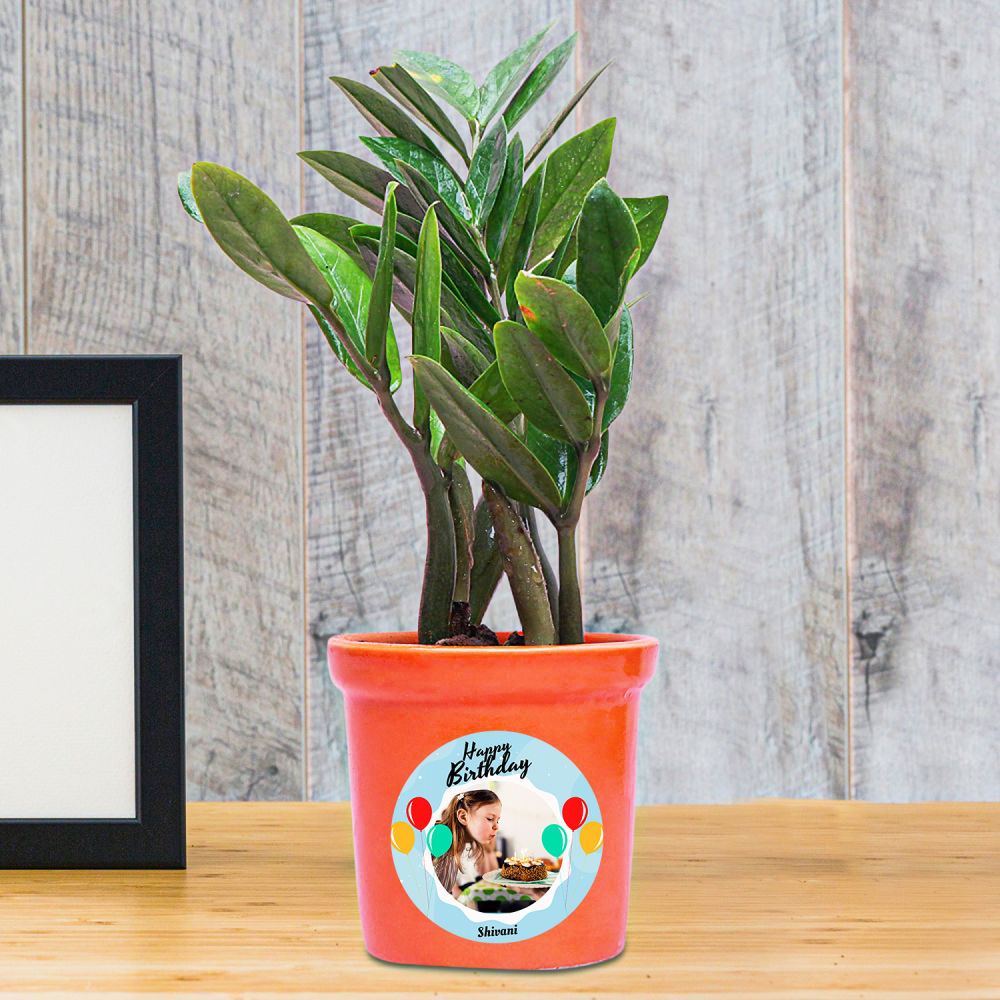 Personalized Reddish Potted Zeze Plant | Winni