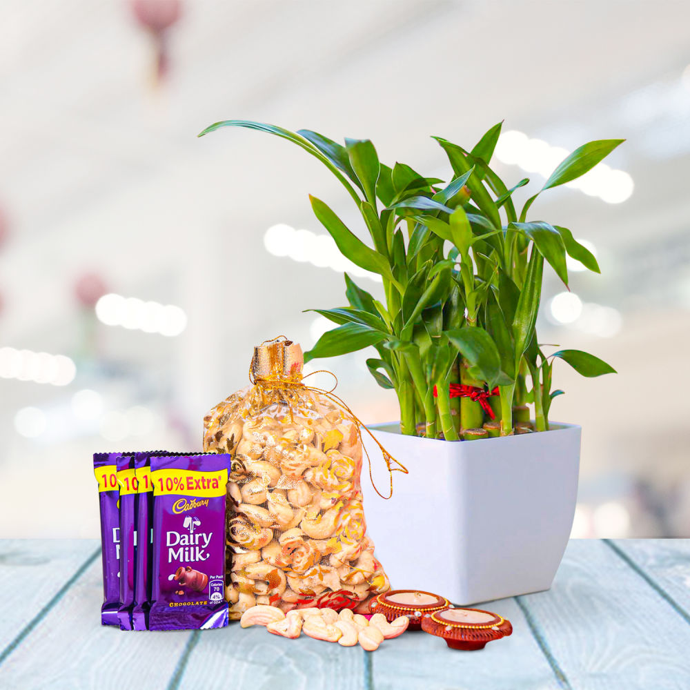 Ultimate Diwali Gift | Winni