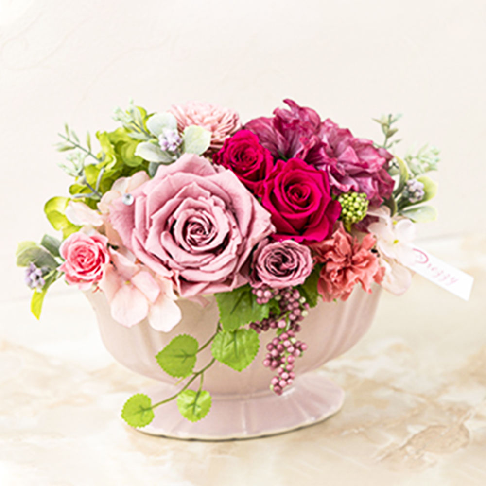 Plenty Of Roses | Winni