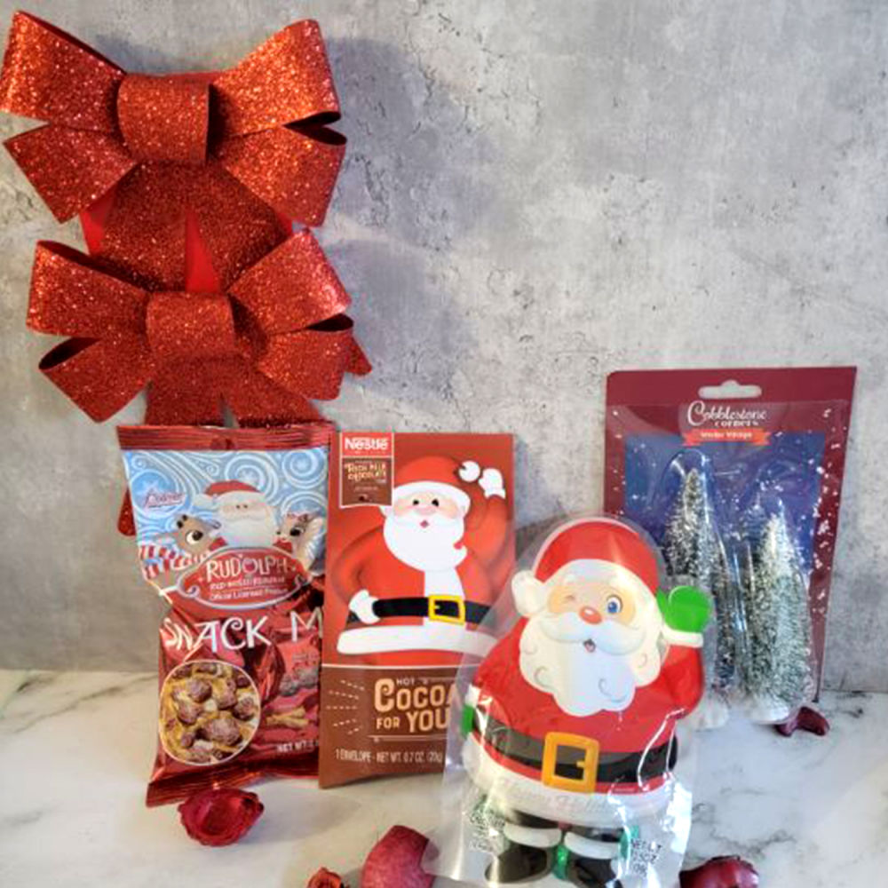 Santa Surprise Hamper | Winni