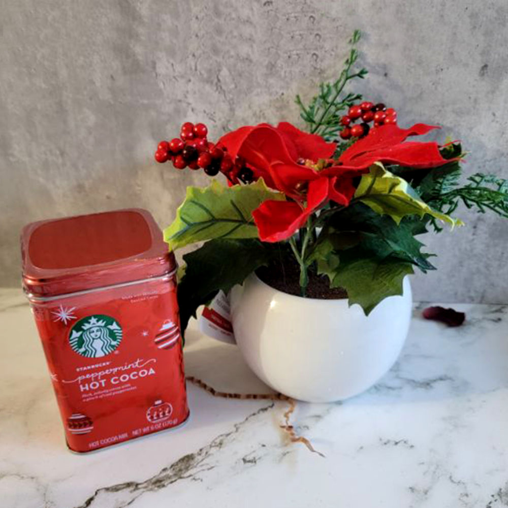 Poinsettias With Cocoa Hamper | Winni
