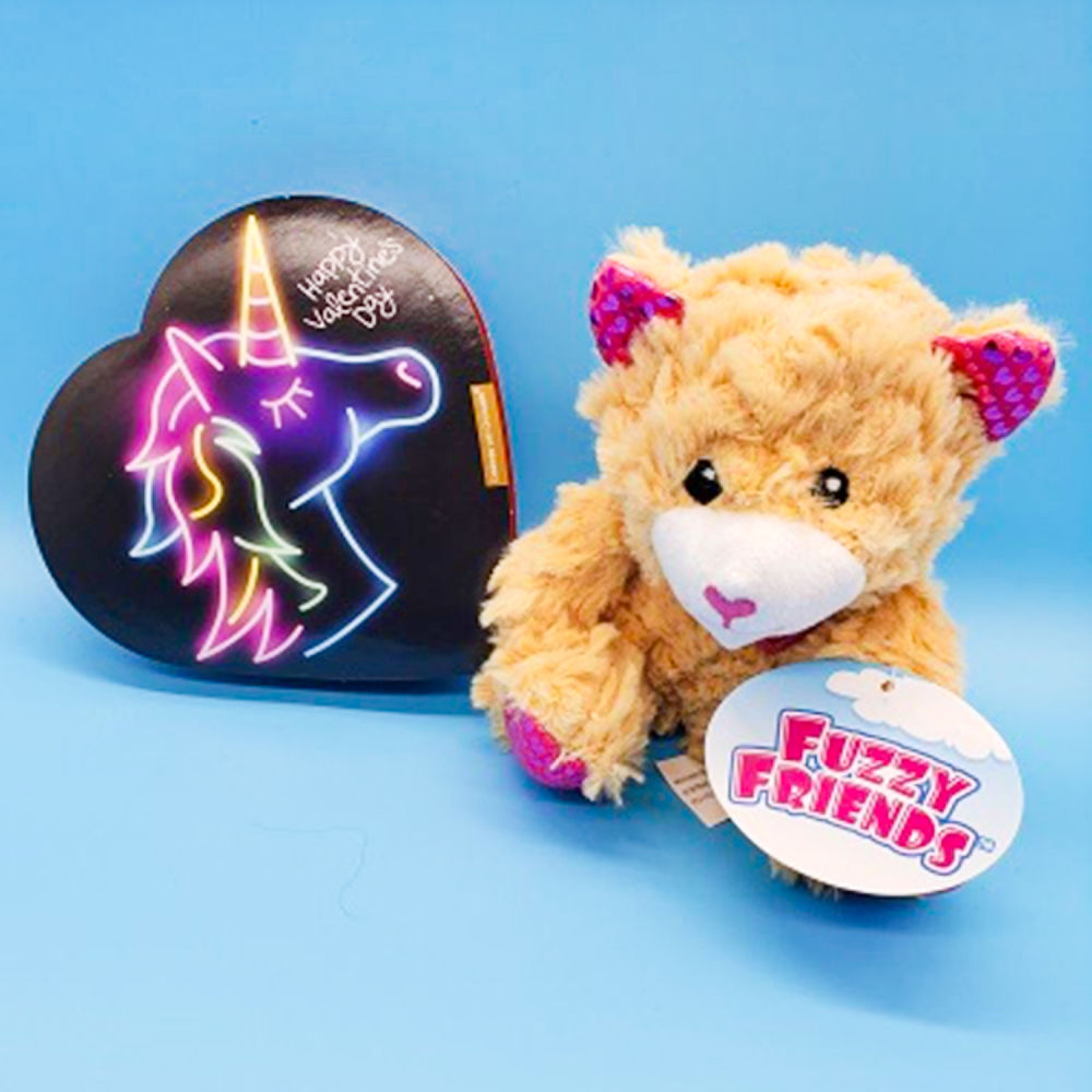 Lovable Teddy with Chocolate | Winni
