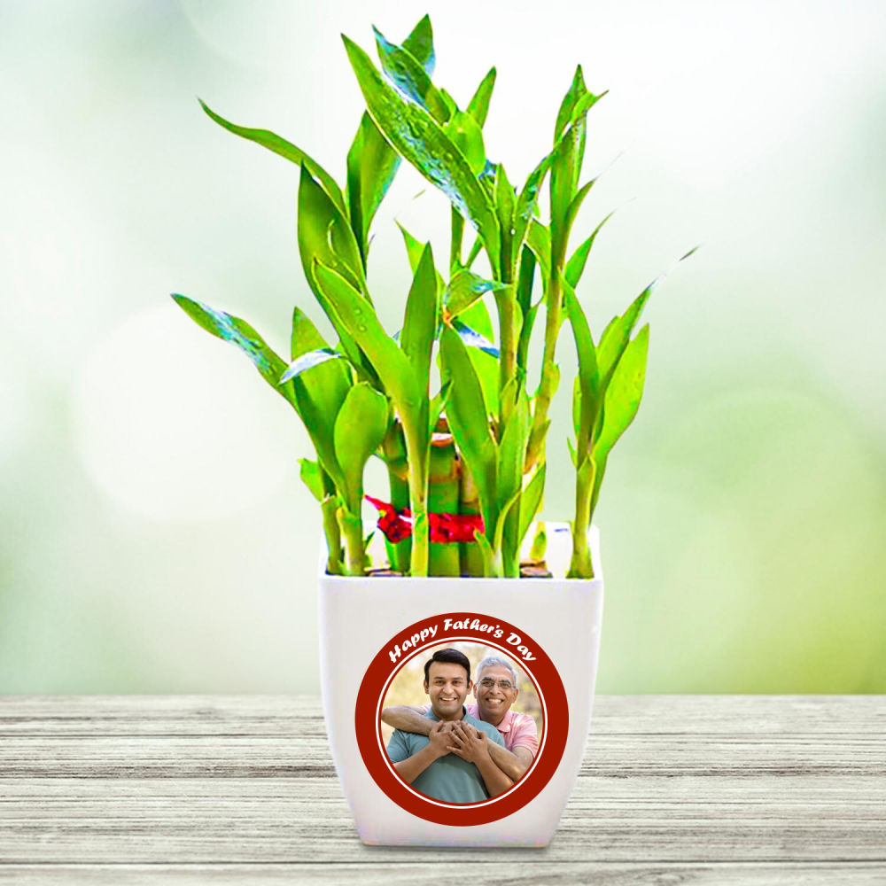 Personalised Dad Bamboo Plant | Winni