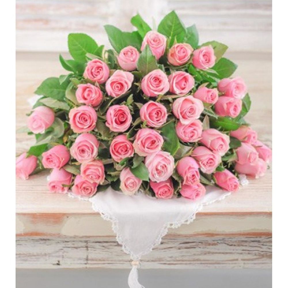 Pink Roses Pack | Winni