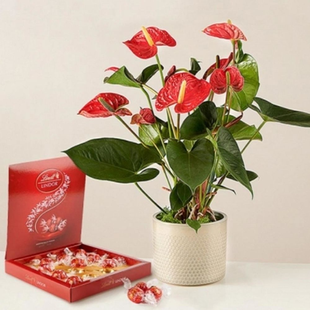 Red Treat Hamper | Winni