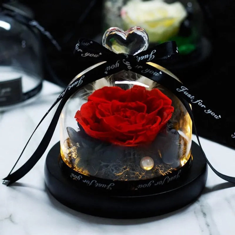 Eternal Preserved Red Rose | Winni