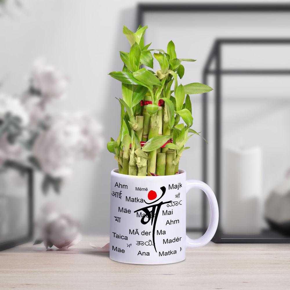 Special Maa Mug With Bamboo Plant | Winni
