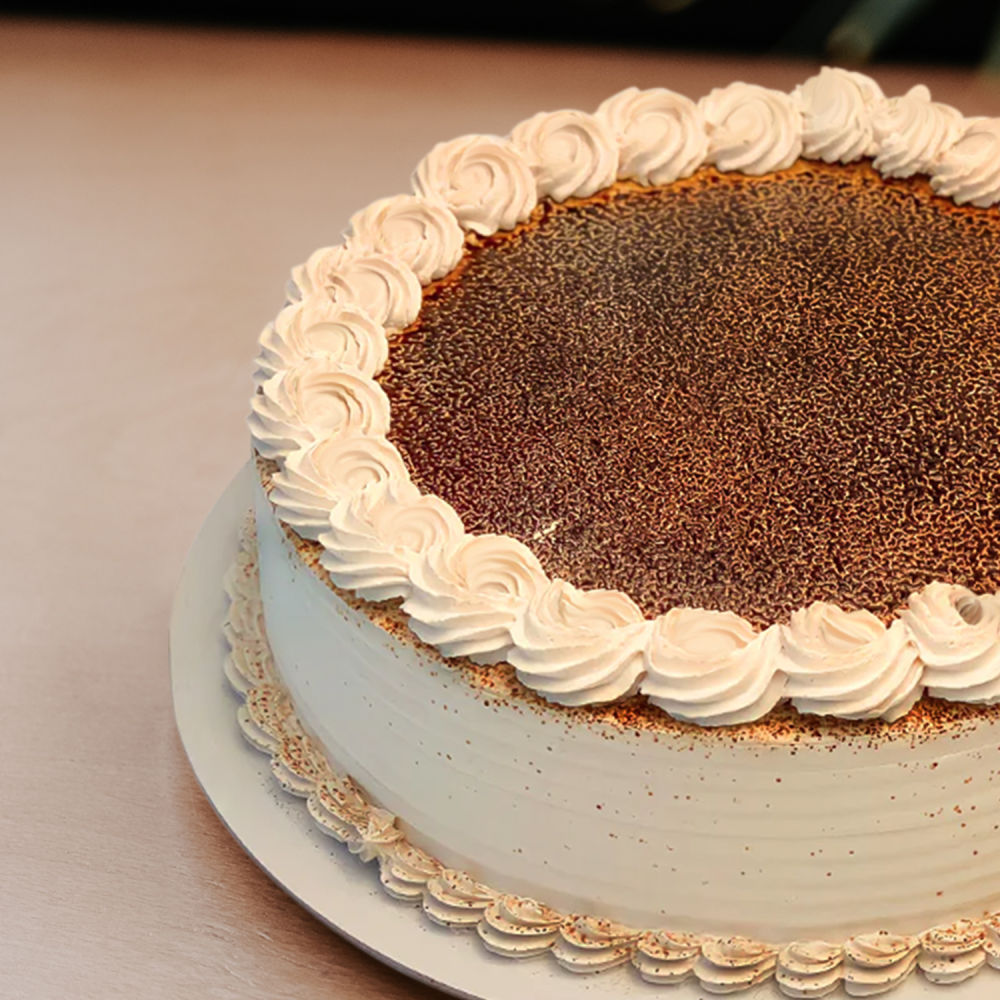 Choco Vanilla Cake With Bamboo Plant | Winni