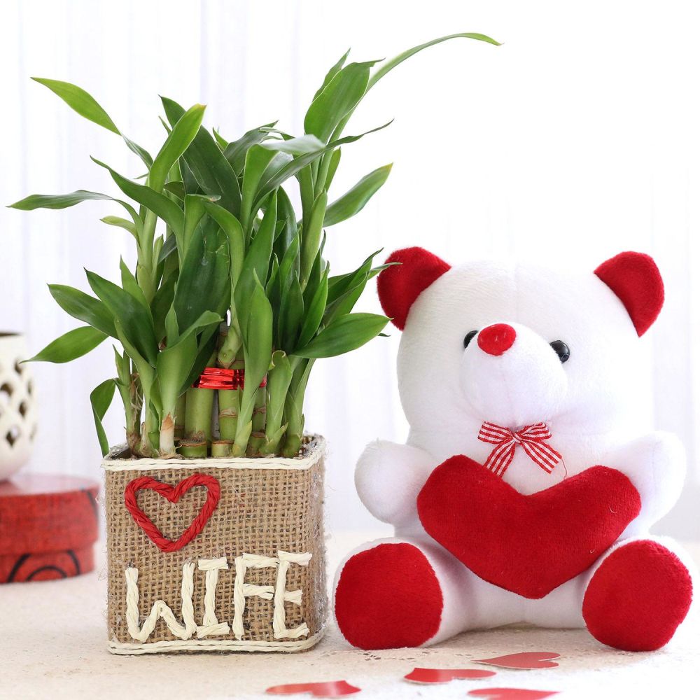 Two Layers Lucky Bamboo For Wife with Teddy | Winni