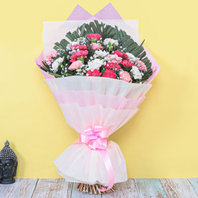 Send Carnation Flowers Online | Order Carnation Flowers Bouquet | Winni
