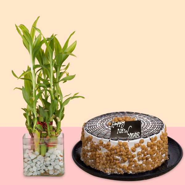 Butterscotch Cake With Bamboo | Winni