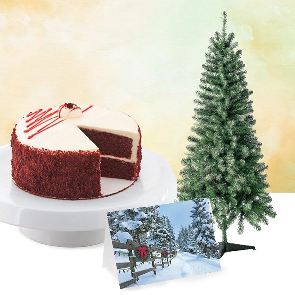 Unique Christmas Combo | Winni