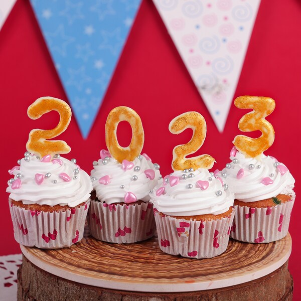 2023 Vanilla Cupcakes | Winni