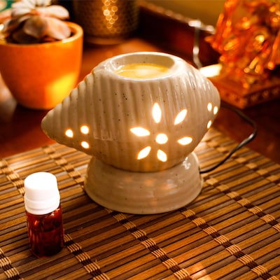 Electric Diffusers Online | Winni
