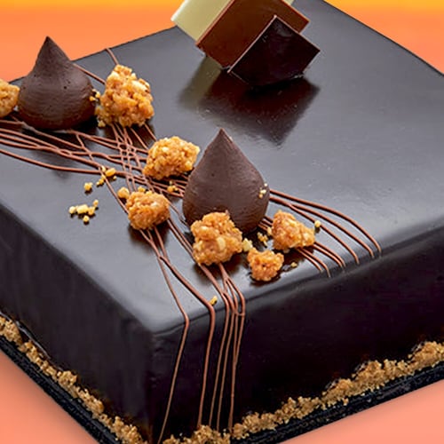 Belgium Chocolate Truffle Cake Winni.in