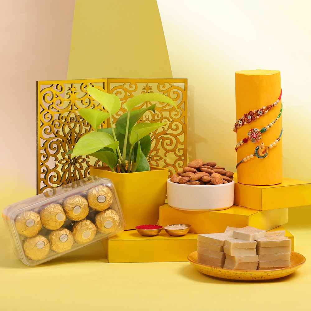 Hamper Set Of 3 Rakhi With Money Plant And Sweet Winni