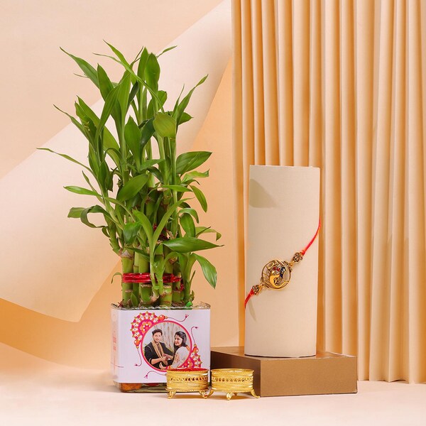 Ganesha Rakhi With Lucky Bamboo Plant Winni